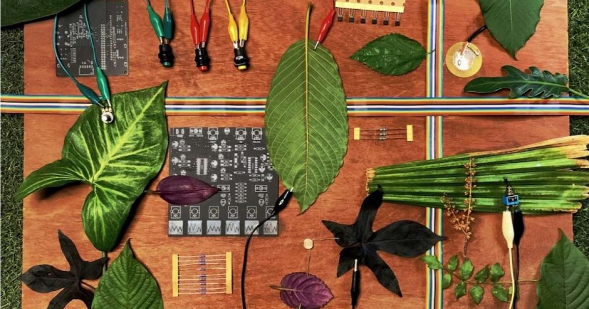 Bangkok: Check out an interactive installation on sonic poetry from the ...