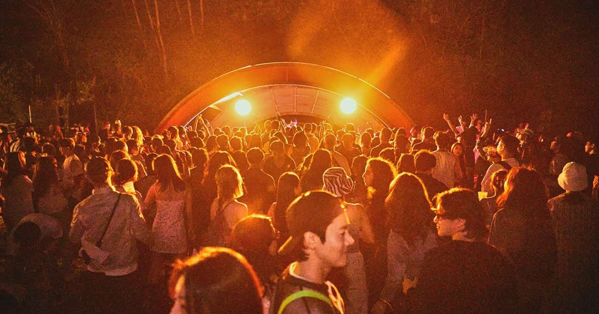 25 photos capturing the intimate energy of The Air House's forest rave ...