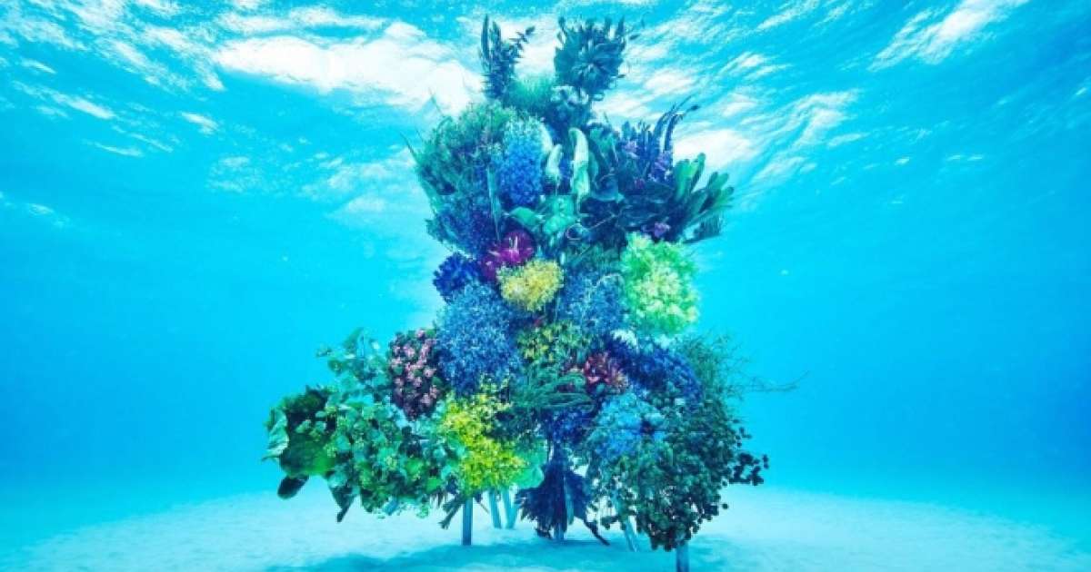 Azuma Makoto’s latest flower sculpture blooms in the waters of Ishigaki ...