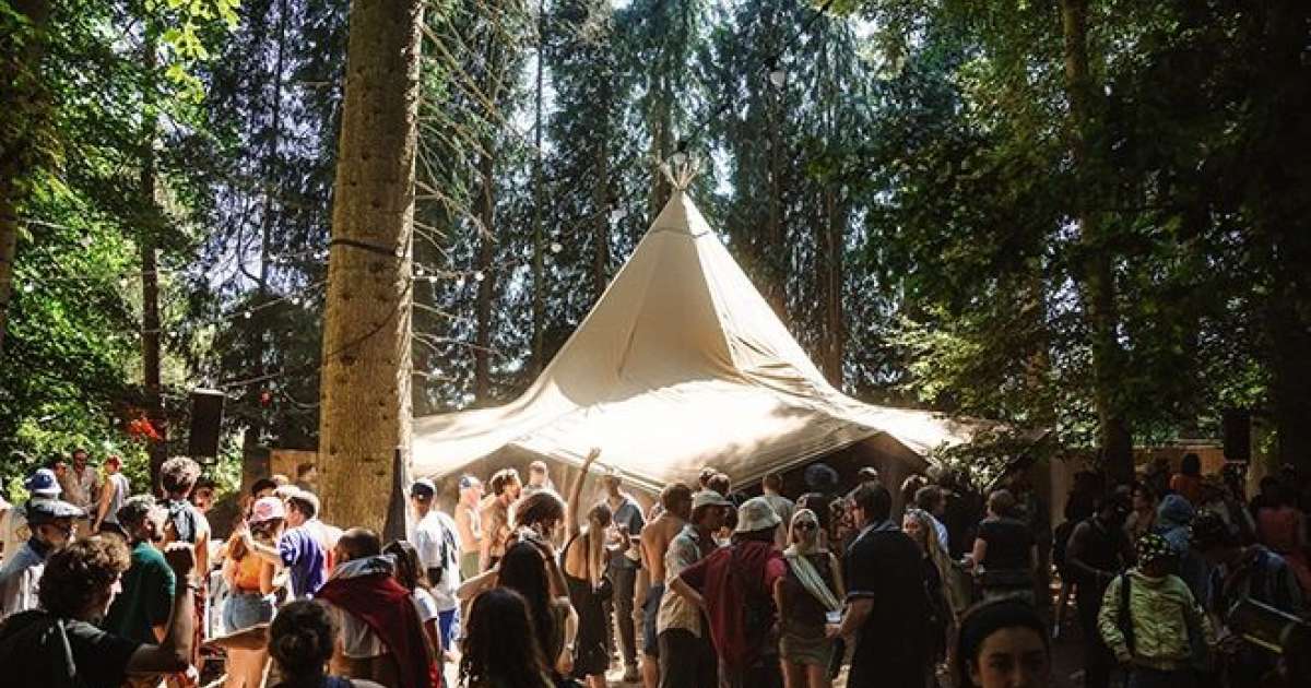 Houghton Festival reveals first wave line-up for 2025 - Global News ...